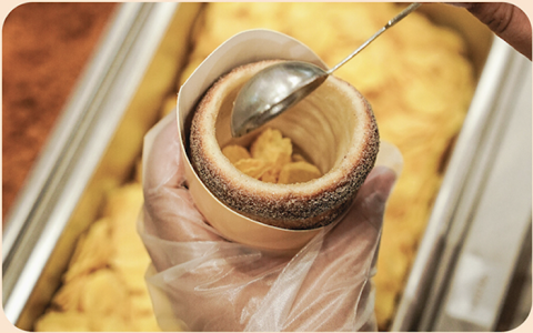 Rollney | World Famous Kurtos